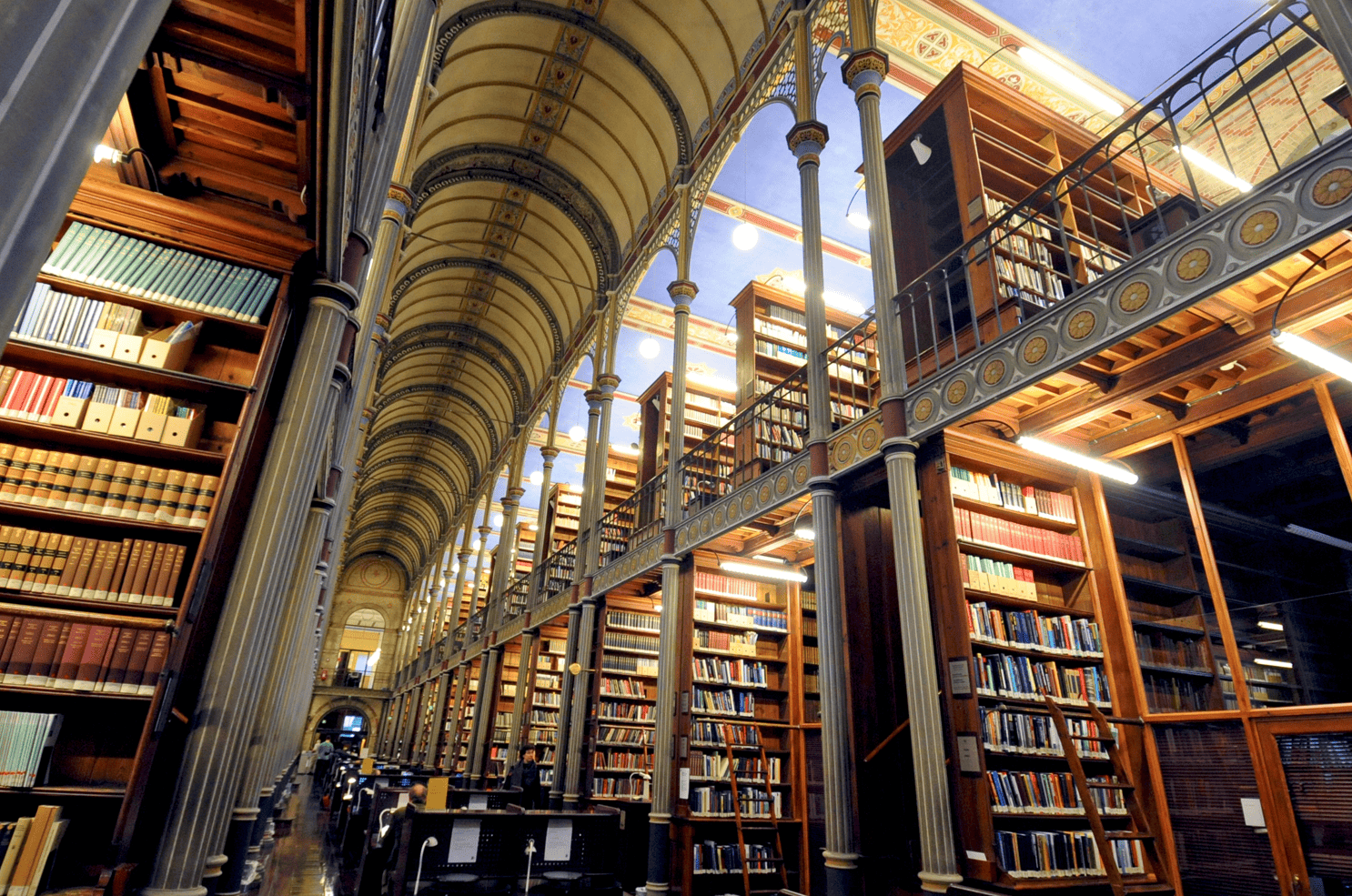 Bedre vilkår for private universiteter - Liberal Alliance