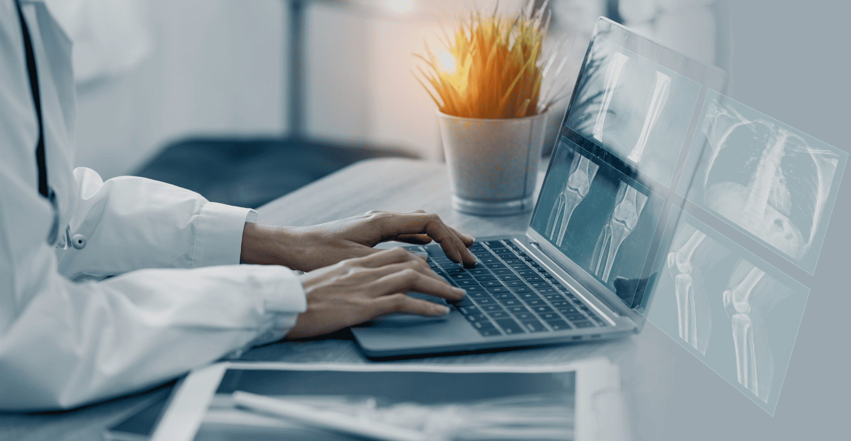 Liberal Alliance | Danmarks mest liberale parti